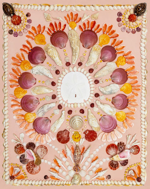 Shell Prints – LULU DK