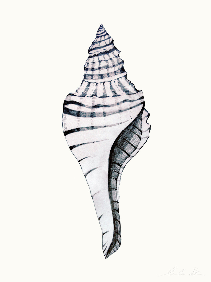 Shell Prints – LULU DK
