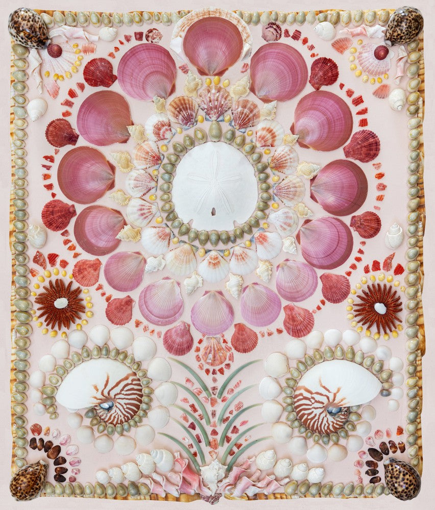 Light Pink Shell III – LULU DK