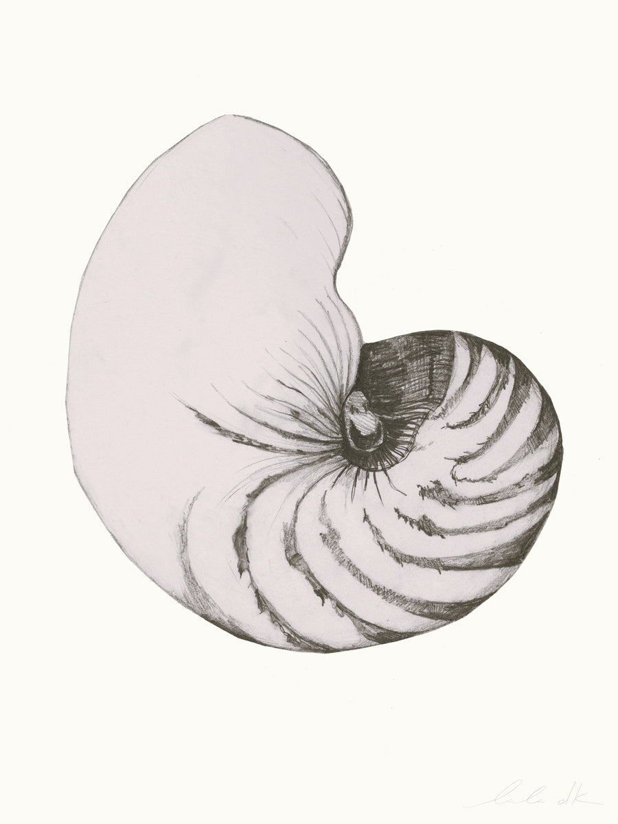 Shell Prints – LULU DK